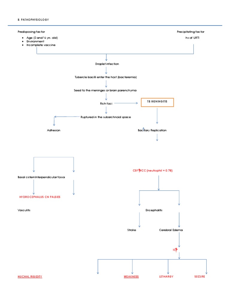 Case Study-Tb Meningitis | Download Free PDF | Animal Anatomy | Central Nervous System