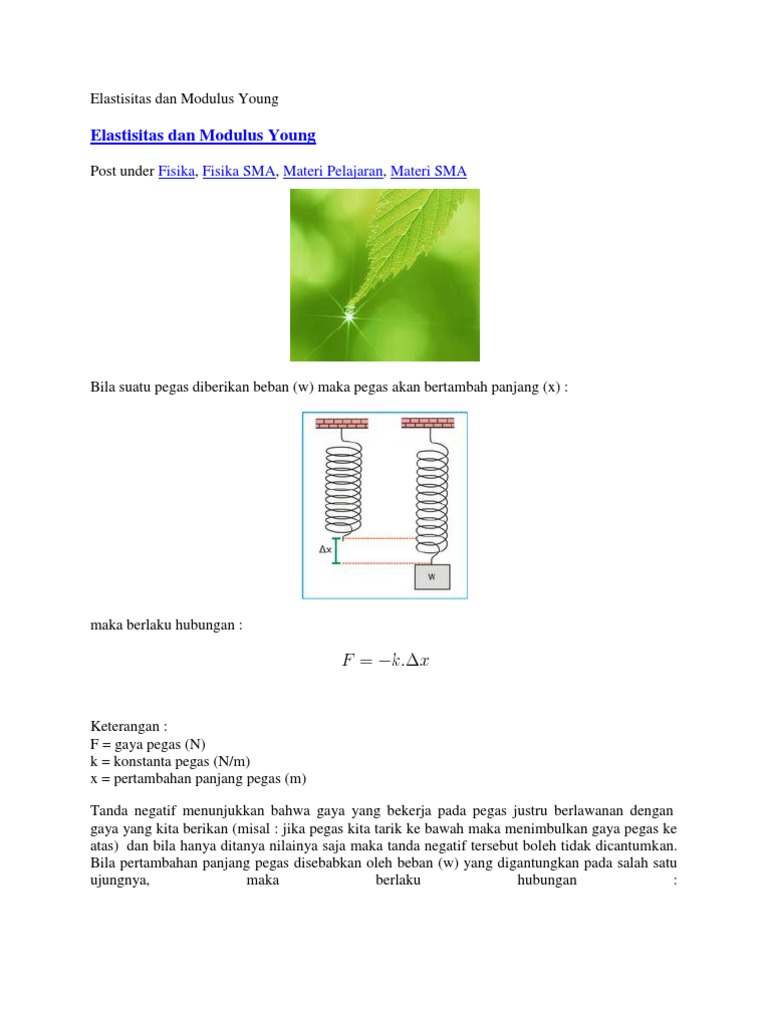 Elastisitas Dan Modulus Young | PDF