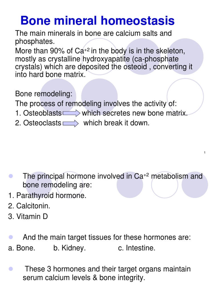 Mineral Homeostasis Bone | PDF | Vitamin D | Bone