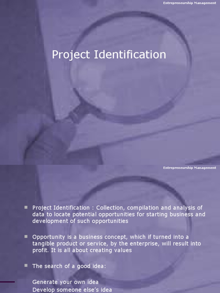 Project Identification | PDF | Entrepreneurship | Innovation