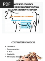 Cómo Aplicar Inyecciones Al Ganado Bovino PDF | PDF | Inyección ...