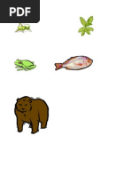 Food Chain Graphic Organizer | PDF | Foods