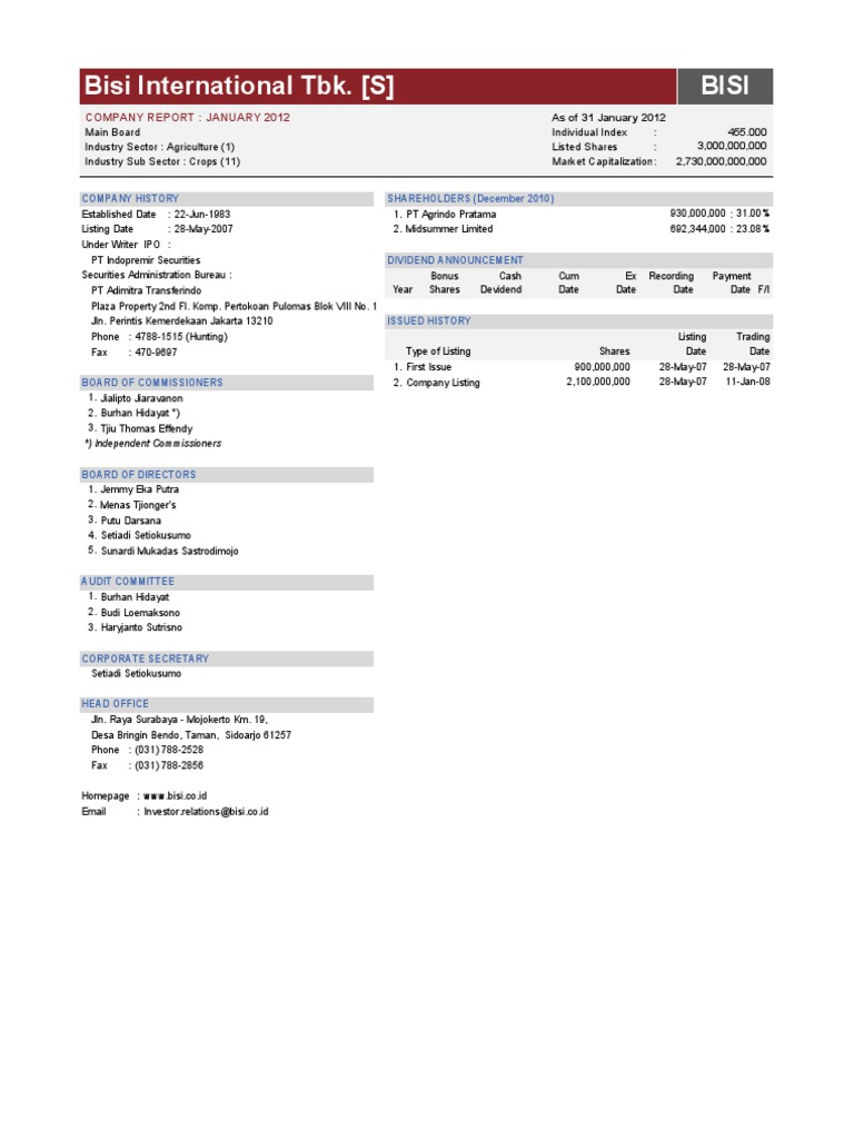 BISI | PDF | Expense | Equity (Finance)