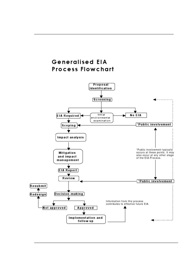 Eia Flow Chart | PDF