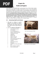 Your Goats Normal Vital Signs Fudetb | PDF | Goat | Thermoregulation