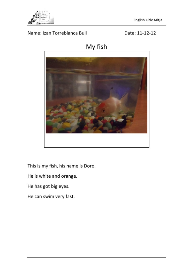 My Fish | PDF | Foreign Language Studies