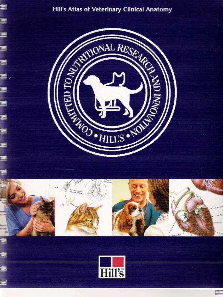 Hill's Atlas of Veterinary Clinical Anatomy (Scan) PDF | PDF