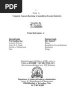 Project Report Balaji Wafers | PDF | Business | Economies