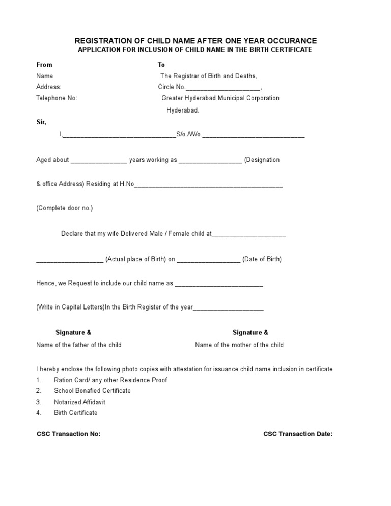 Child Name Inclusion After One Year | PDF | Birth Certificate ...
