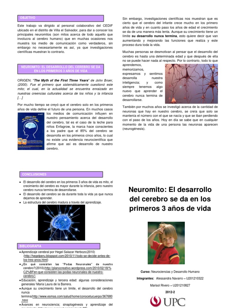 Neuromito: El Desarrollo Del Cerebro Se Da en Los Primeros 3 Años de ...