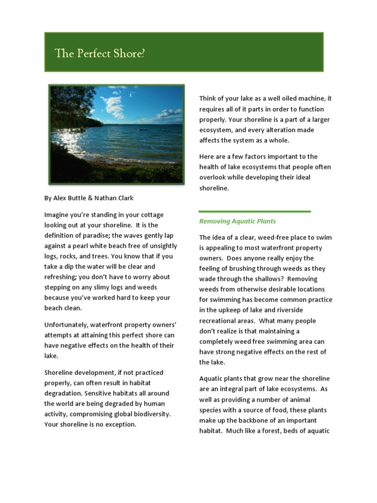 Shoreline Development and Lake Health | PDF | Aquatic Ecosystem ...