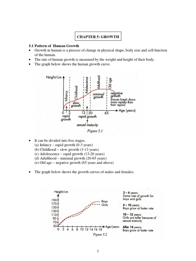 Science Form 3 Chapter 5 - Growth PDF | PDF