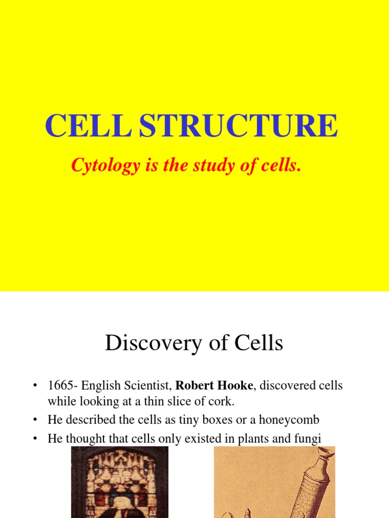 Cell Structure: Cytology Is The Study of Cells | PDF | Cell (Biology ...