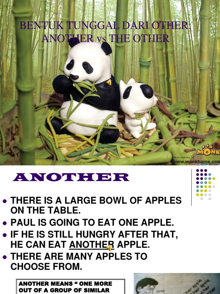 Understanding 'Another' vs 'The Other' | PDF | Cooking, Food & Wine ...