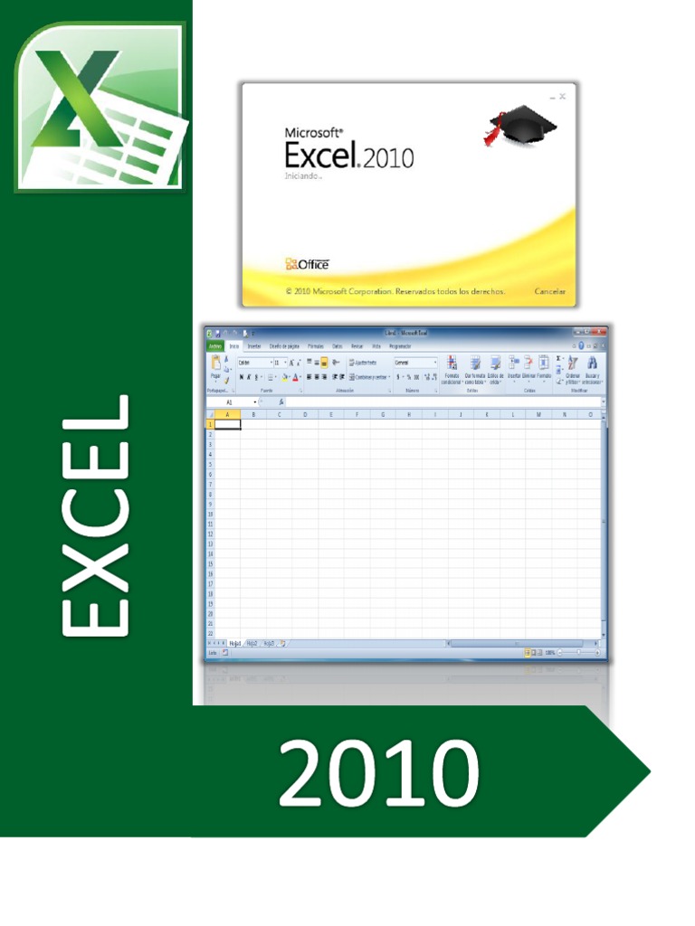 Excel 2010 | PDF