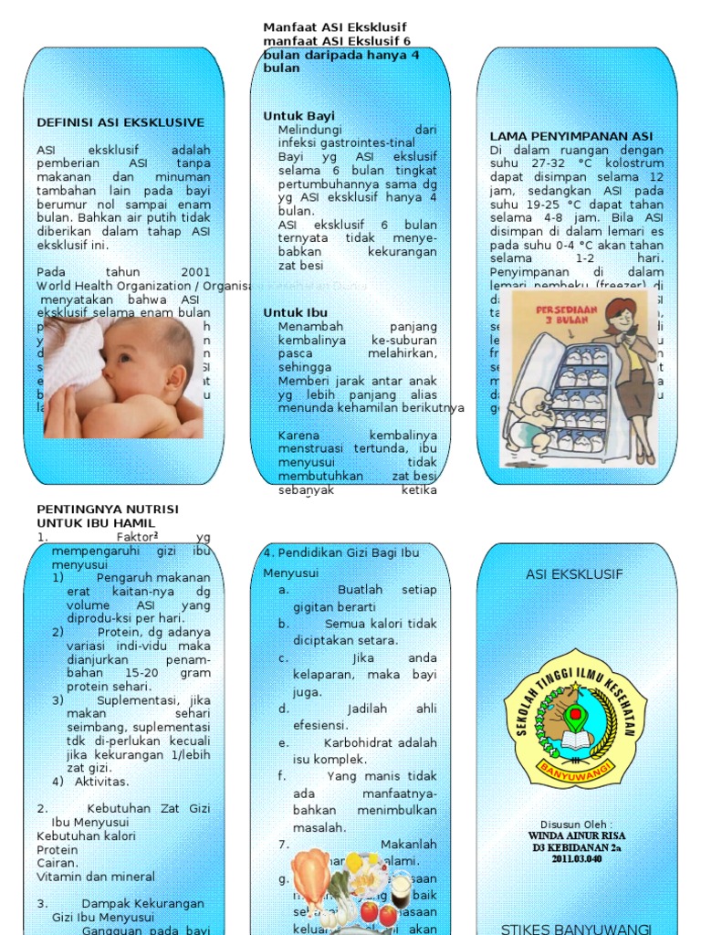 Leaflet Asi Eksklusif | PDF