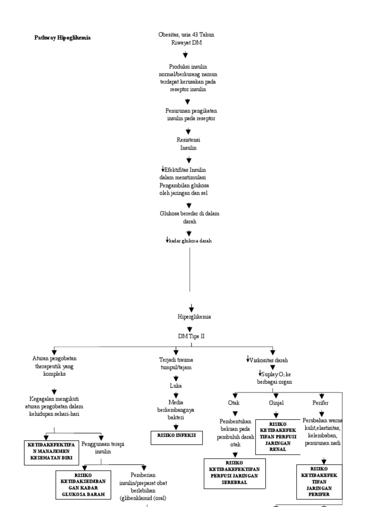 Pathway Hipoglikemia Fix