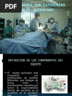 Tecnica Quirurgica de La Salpingooforectomia | PDF | Ovario | Especialidades Medicas
