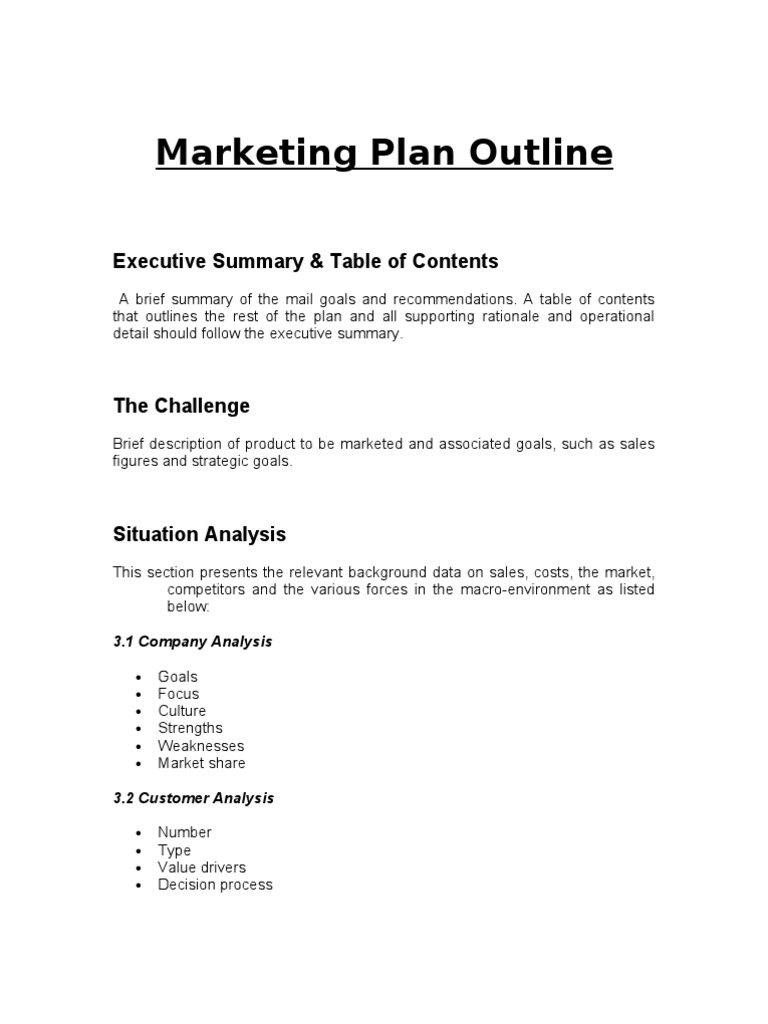 Marketing Plan Outline: Executive Summary & Table of Contents | PDF