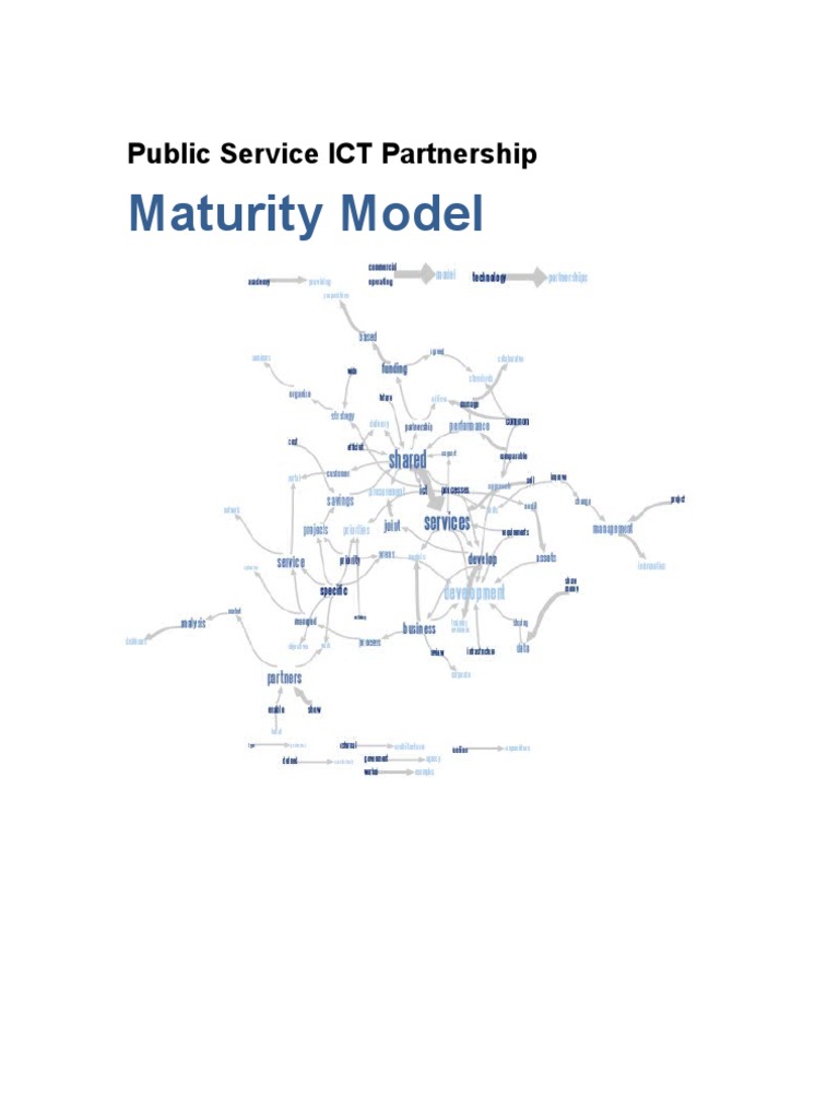 Public Service ICT Partnership Maturity Model | PDF | Business Process ...