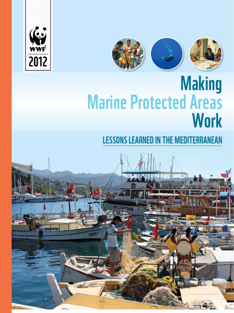 Making Marine Protected Areas Work: Lessons Learned in The ...