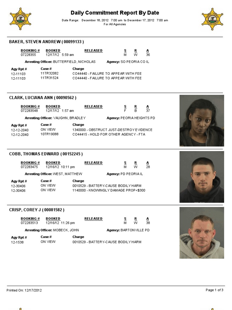 Daily Commitment Report: Dec 16-17, 2012 | PDF