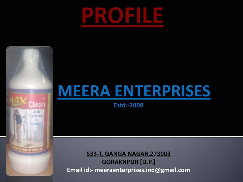 Meera Enterprises: Scented Phenyl & Cleaners | PDF | Economies | Business