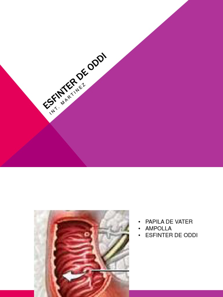 Esfínter de Oddi: Función y Disfunción | PDF | Sistema exocrino ...