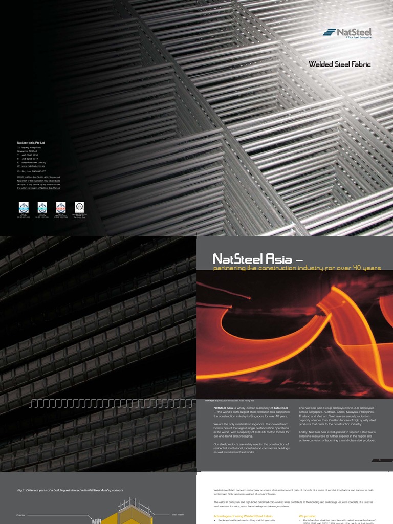Natsteel BRC | PDF | Column | Structural Engineering