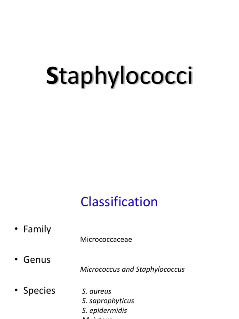 Staphylococci | PDF | Staphylococcus Aureus | Staphylococcus