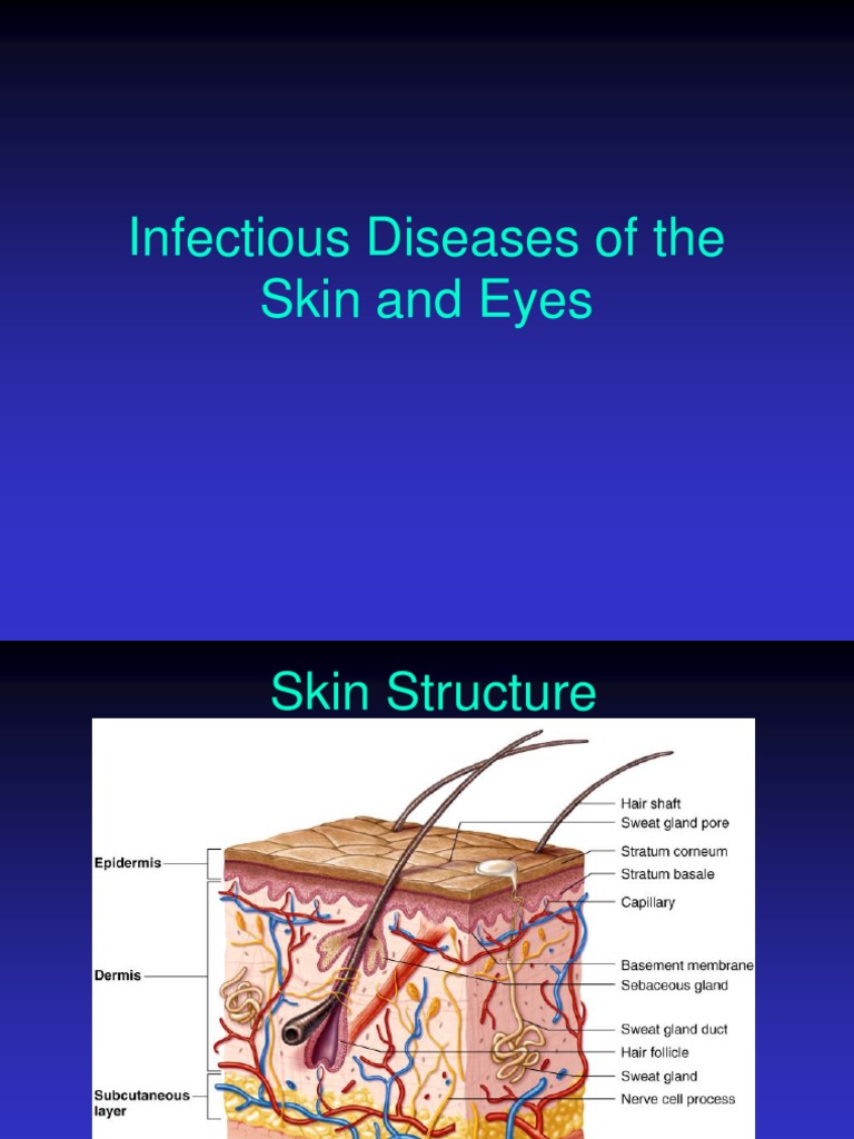 Infectious Diseases of The Skin and Eyes | PDF | Measles | Animal Diseases