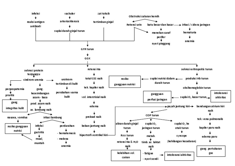 Pathway CKD | PDF | Wellness | Science & Mathematics