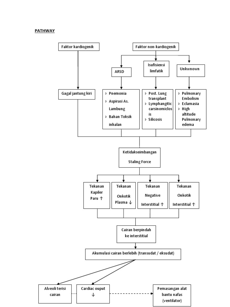 Pathway Edema Paru | PDF