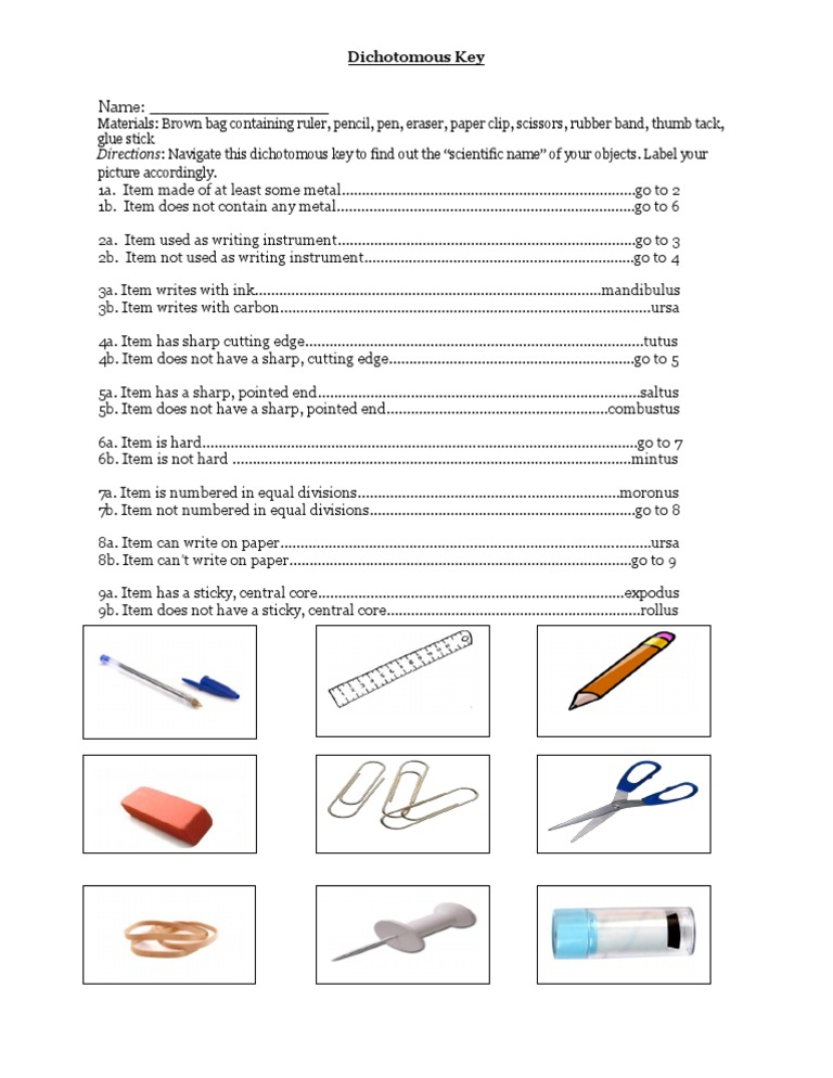 School Supplies Dichotomous Key | PDF | Computers