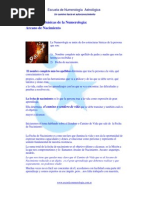 Guia Breve Reiki Unitario Tamy | PDF | Creencia religiosa y doctrina | Religión y creencia