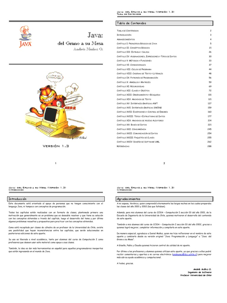 Manual Java | PDF | Java (lenguaje de programación) | Programa de ...