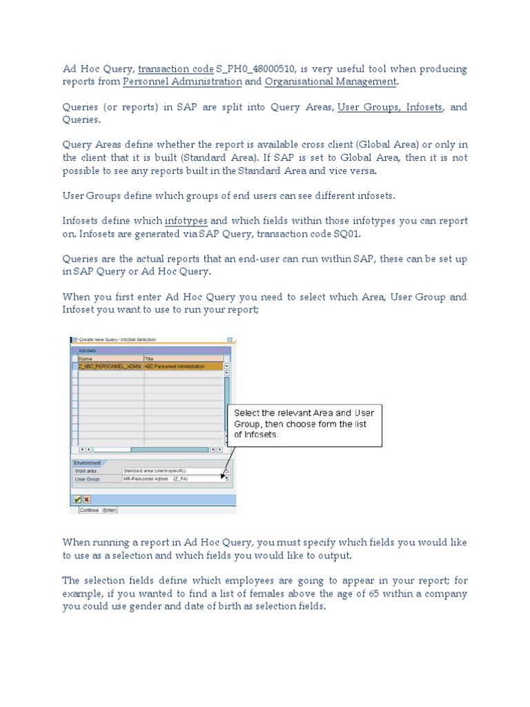 SAP Ad Hoc Query | Download Free PDF | Parameter (Computer Programming) | Information Retrieval