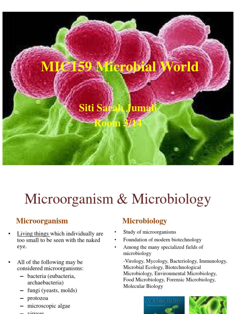 MIC159 Microbial World | Staining | Microbiology