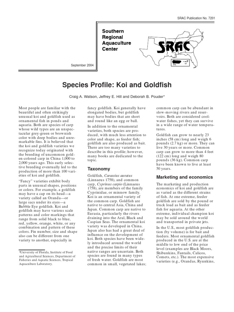 Species Profile Koi and Goldfish | PDF | Spawn (Biology) | Infection