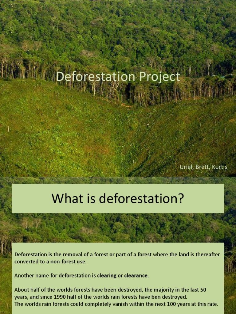 Deforestation Project | Deforestation | Forests