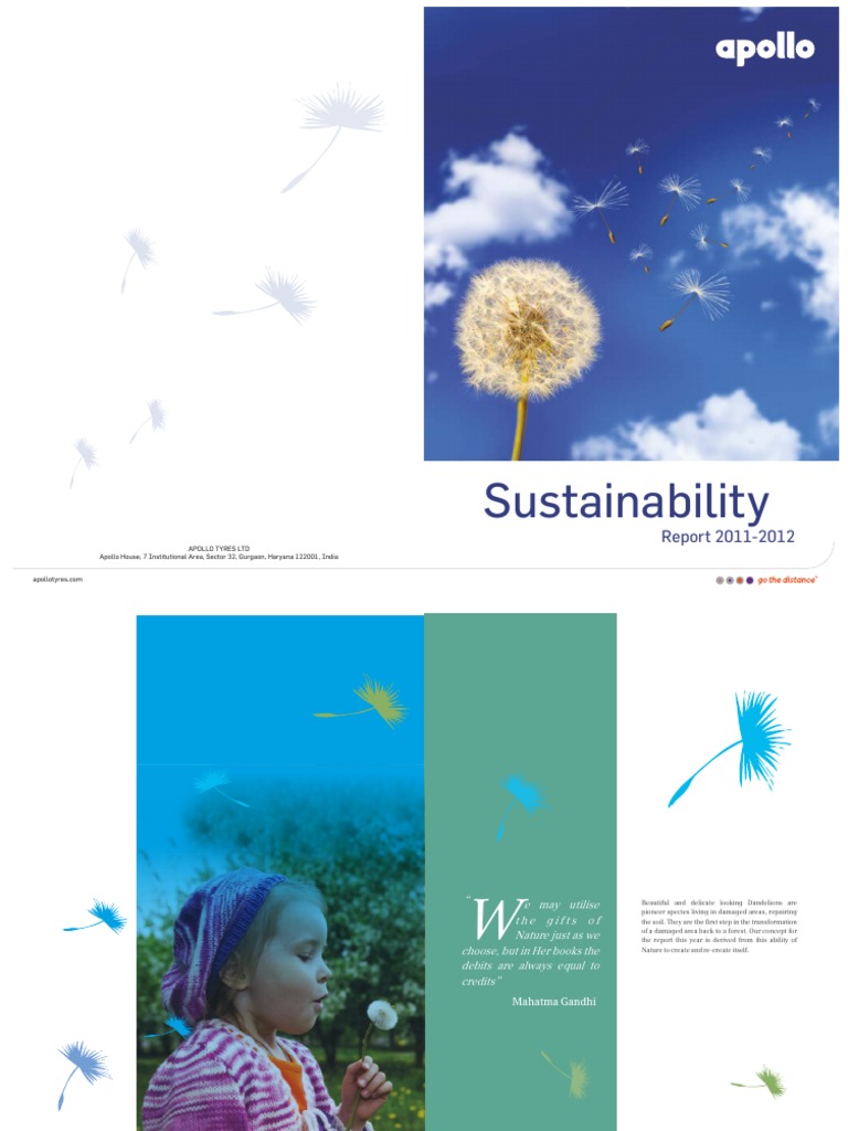 Sustainability Report | PDF | Corporate Governance | Sustainability