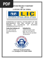 Project Report: Life Insurance Corporation of India | PDF | Insurance ...