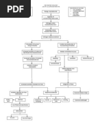 Anatomy and Physiology of Acute Gastroenteritis | PDF | Stomach ...
