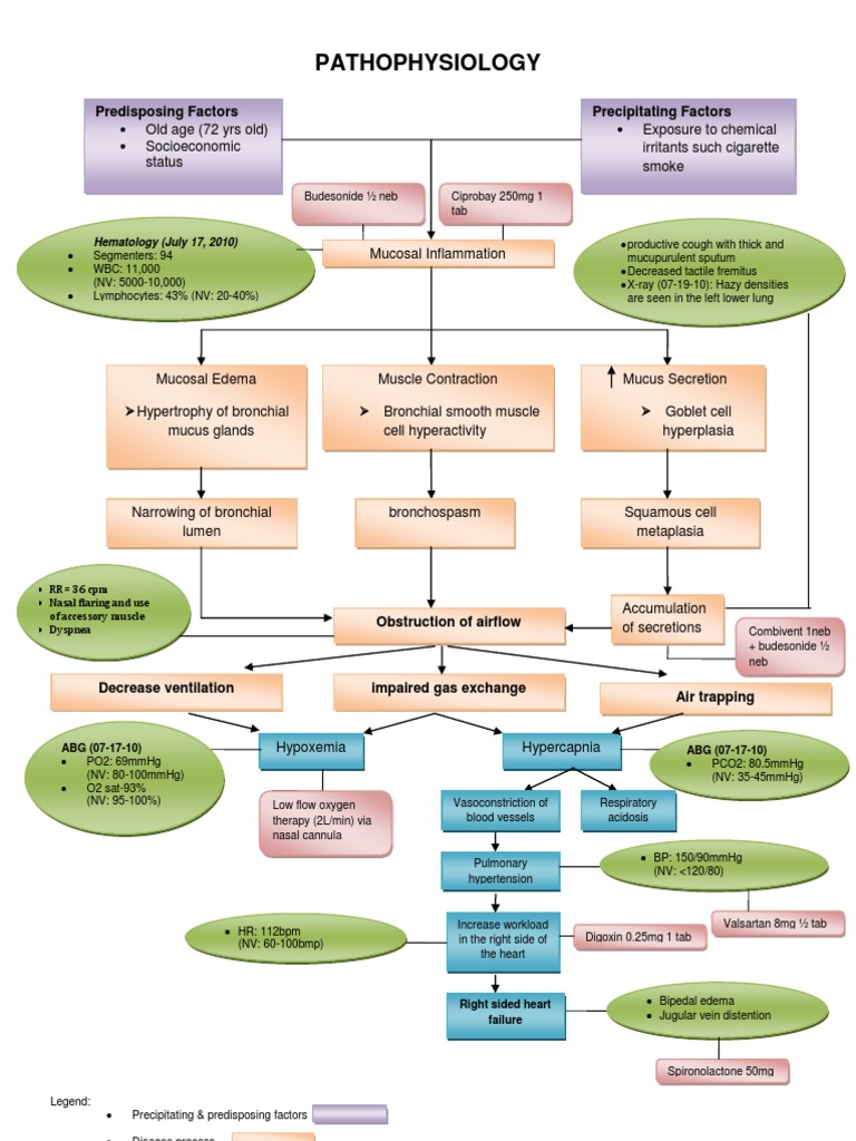 Copd Pathophysiology Diagram | PDF