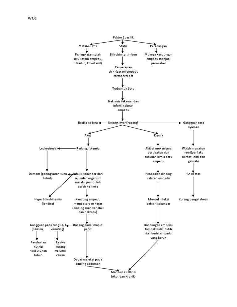 105185903-Woc Vomit | PDF
