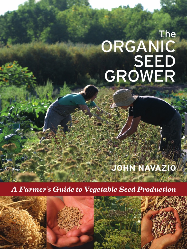 A Short History of Agricultural Seed: An Excerpt From The Organic Seed ...