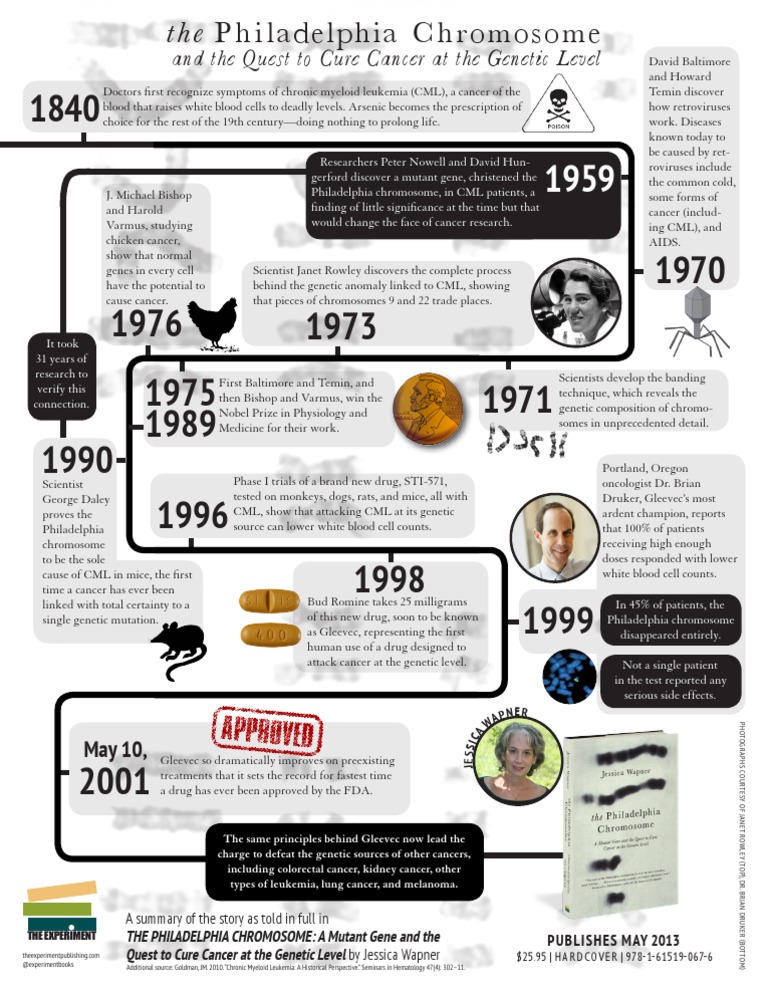 The Philadelphia Chromosome Infographic | PDF | Leukemia | Cancer