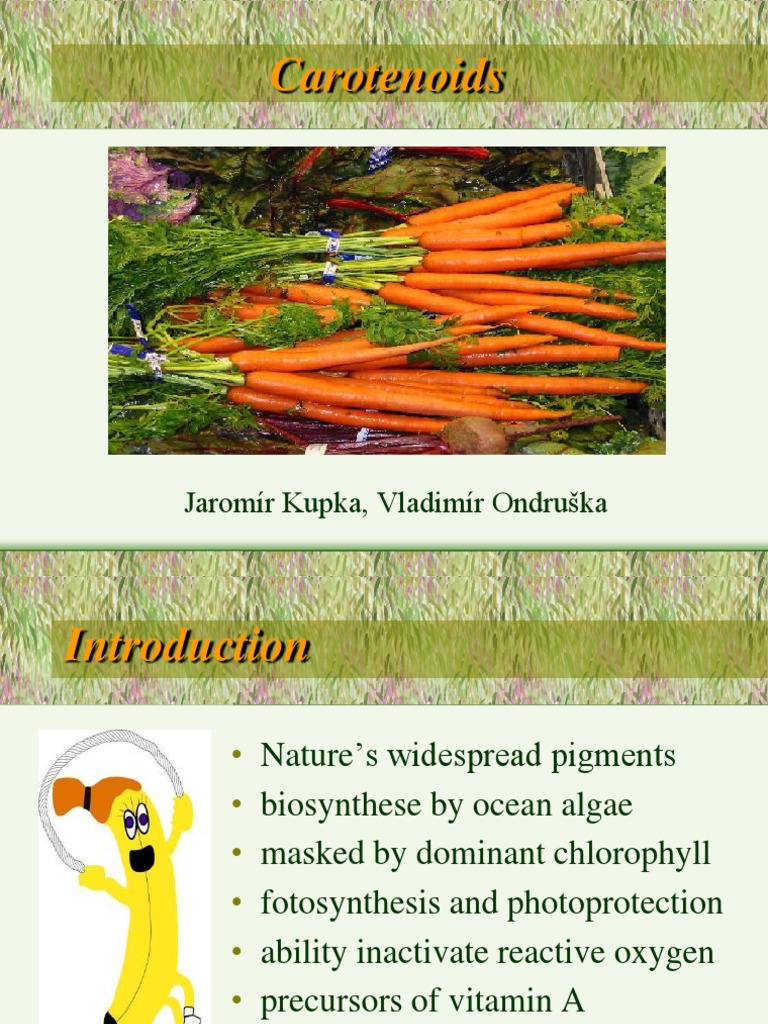 Carotenoids: Structure, Function, and Sources | PDF