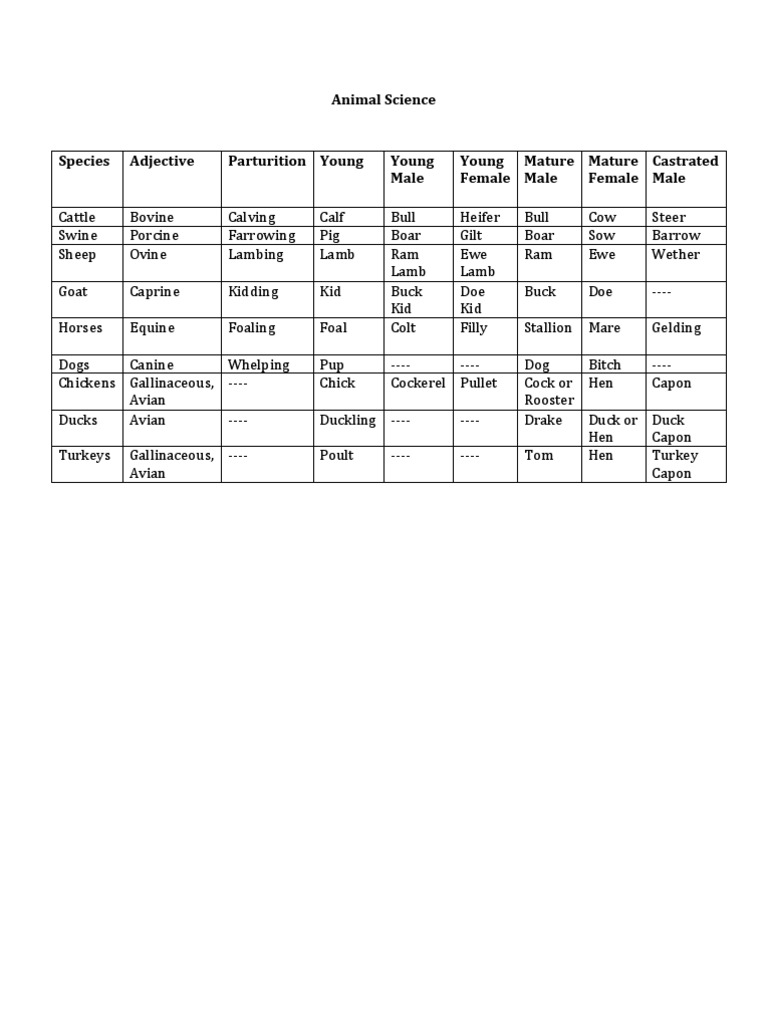 Animal Science Notes | PDF | Ruminant | Digestion