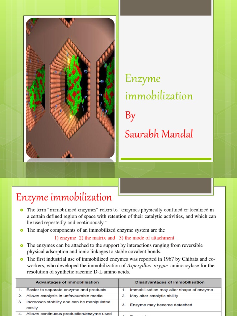 Enzyme Immobilization Guide | PDF | Adsorption | Molecular Binding